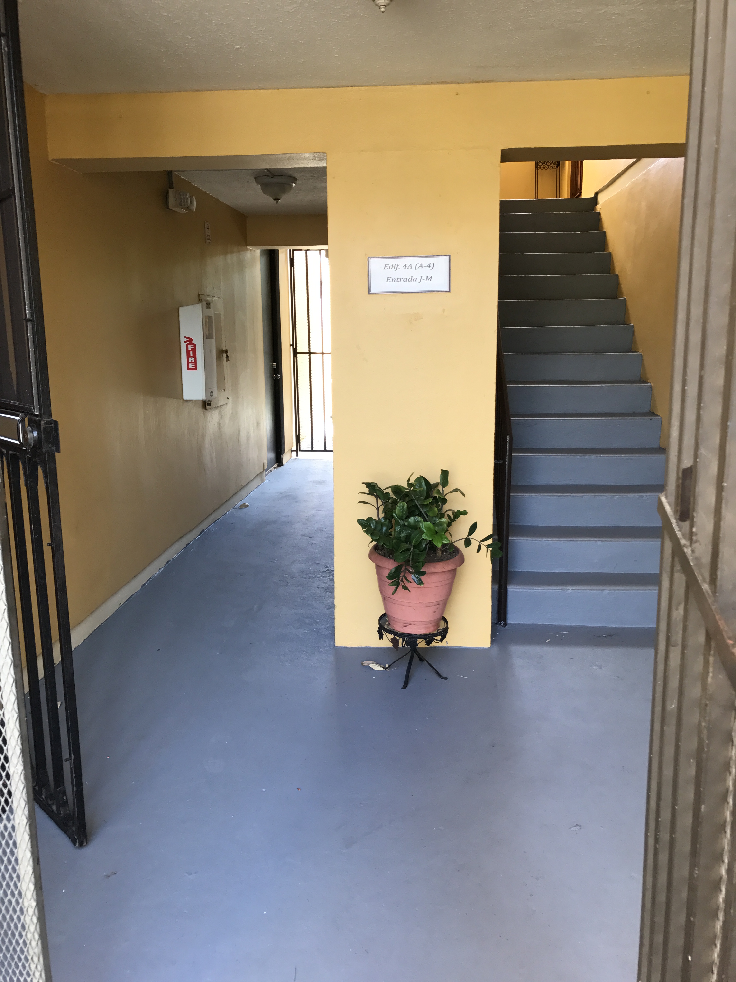 Condominio Lucerna, Carolina